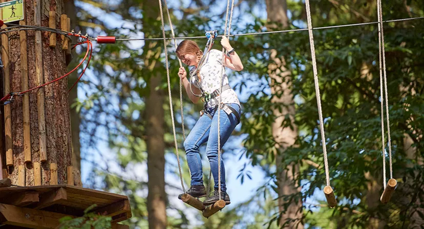 Team Building Venue, Go Ape Crawley | Best Rates Here >>
