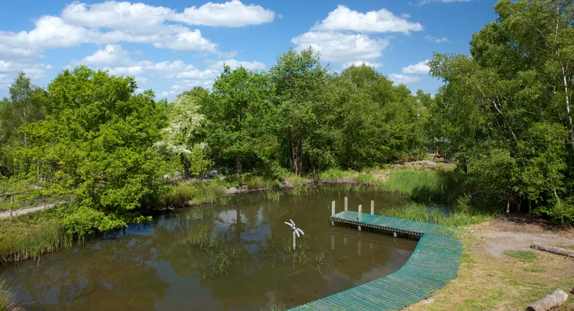Shorne Woods Country Park - Chestnut Room | Meeting Room Hire