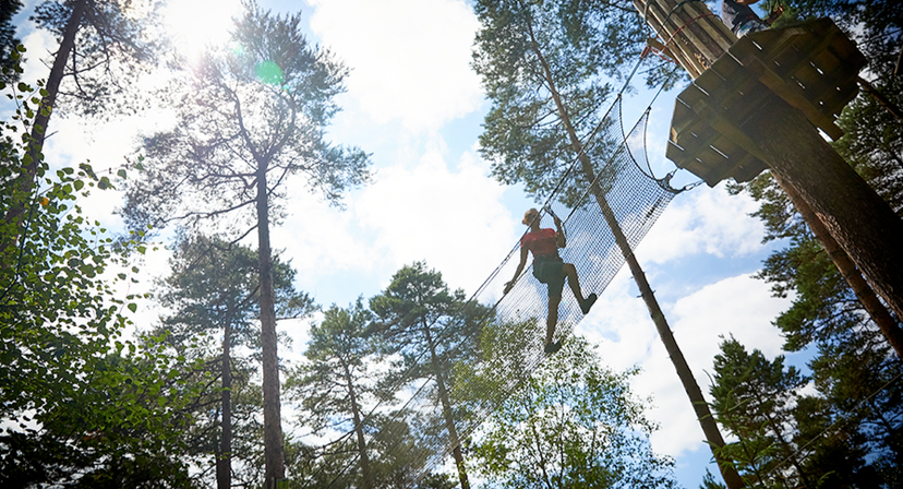Go Ape Haldon, Exeter | High Ropes Course Exeter, Zip Wire Devon