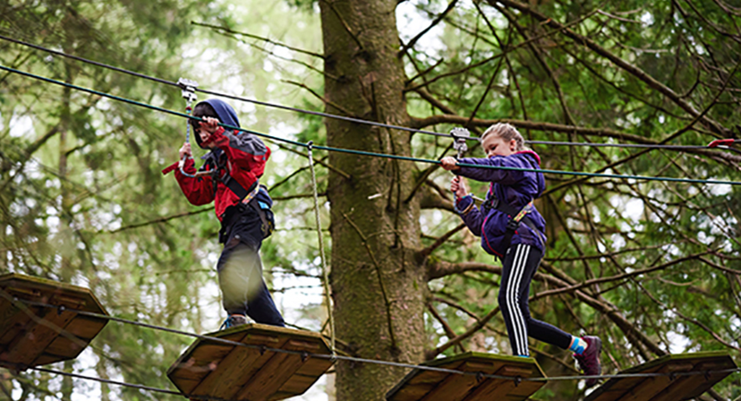 Go Ape Cumbria | High Rope Course, Junior Ropes Course, Segway Driving