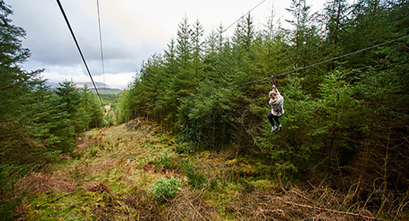 Go Ape Cumbria | High Rope Course, Junior Ropes Course, Segway Driving