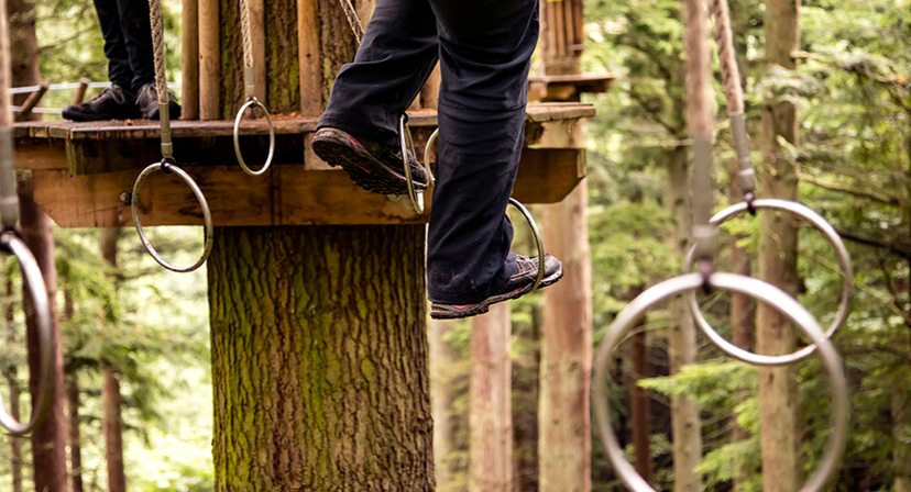 Go Ape Peebles | High Ropes Course Edinburgh, Zip Wire, Team Building