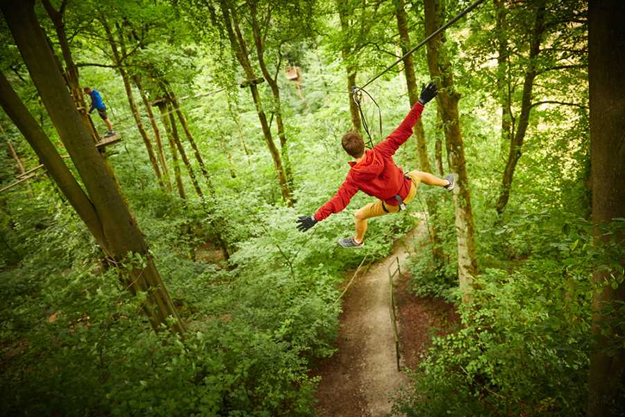 Go Ape Buxton | High Ropes Course Derbyshire, Zip Wire, Mini Ropes Course